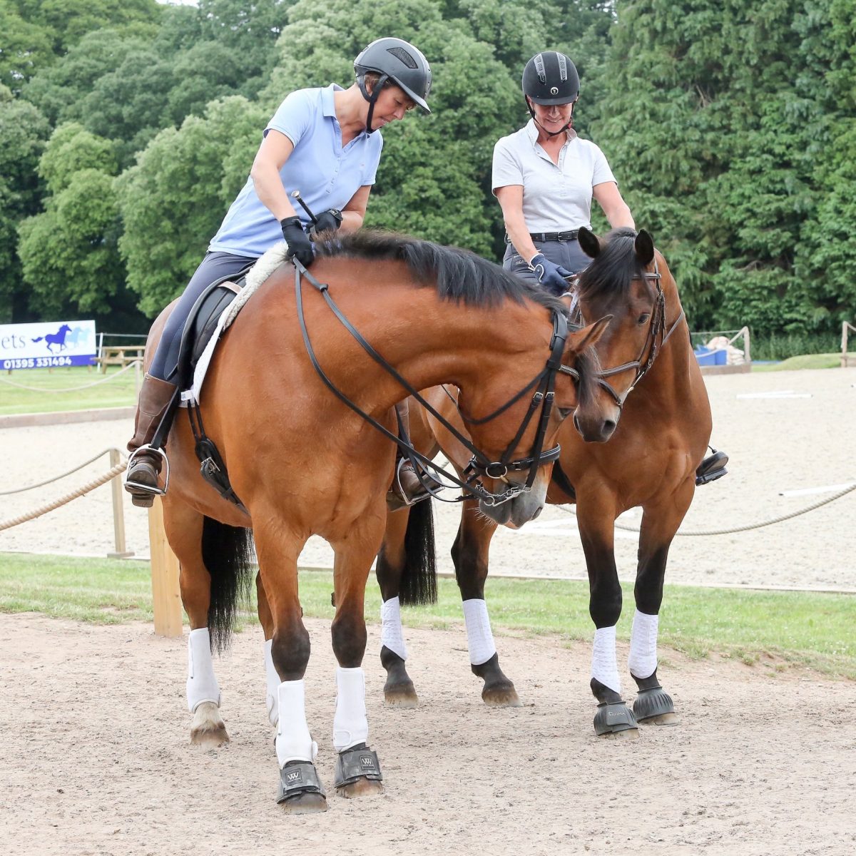 Members Dressage / Combined Training Camp 12 to 14 July - South Devon ...